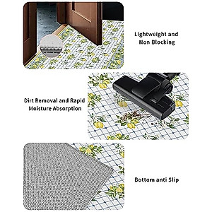 KITHOME Front Door Mat Blue Tile Background Lemon Indoor Outdoor Entrance Doormat Washable Floor Mats for Front Door Bathroom Kitchen Runner Rugs 16x47 Inch