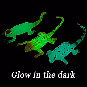 Glow in The Dark Lizard Set,12 Pack Stretchy Realistic Reptile Toy Set for for Kids Boys Girls,Great for Birthday,Themed Parties,Goodie Bag Fillers,Carnival Prizes