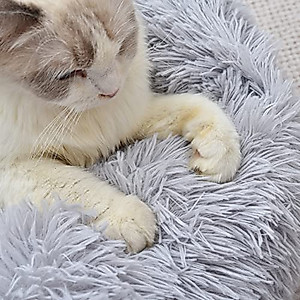 Gavenia Cat Bed for Indoor Cats,22 inch Soft Long Plush Cushion Washable Pet Bed Calming Self-Warming Square Cat and Dog Bed Anti-Slip & Waterproof Bottom Cushion (22 x 18 x 7 inch, Grey)