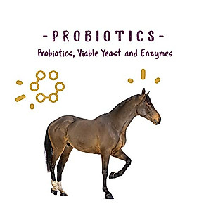 Manna Pro Corp 1000082 Opti-Zyme Microbial Digestive Supplement for Horse, 3-Pound