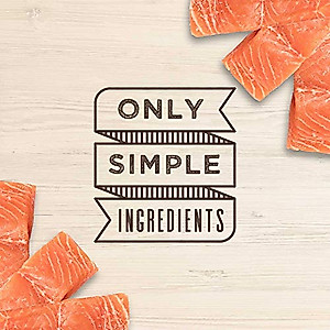 Cloud Star Tricky Trainers Crunchy Dog Training Treats 8 oz Pouch, Salmon Flavor, Low Calorie Behavior Aid with 450 treats