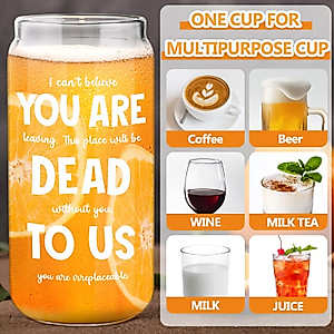 HNSHAG Coworker Leaving Gifts For Women - Farewell Gifts For Coworkers - Going Away Gifts For Friends - Goodbye Gifts For Colleagues, Boss, Work Bestie, Men - 16 Oz Can Shaped Glass Cups