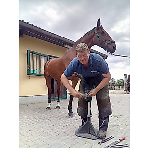 HOOF-IT Green Hoof Stand - The Blacksmith Model (Green)