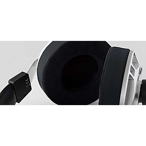 Final Audio D8000 Pro Edition High End Over-Ear Headphones (Silver)