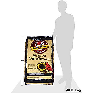Meadow Ridge Farms Black Oil Sunflower Bird Seed, 40-Pound Bag