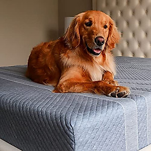 Leesa Studio 10" Mattress, Queen Size, Cooling Memory Foam / CertiPUR-US Certified / 100-Night Trial, Heather-blue