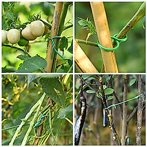 TELENT OUTDOORS 80 Feet Soft Plant Ties Green Plant Twist Ties, Plant ties for Support with 20 PCS Plant Clips, Gardening Supplies for Plants Office Home Organization 3mm Diameter