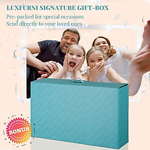 LUXFURNI Vanity Tabletop Hollywood Makeup Mirror w/USB-Powered Dimmable Light, Touch Control, 12 Day/Warm LED Light (16Wx20L, White)