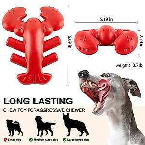 WBTK Dog Chew Toys, Interactive Dog Toys for Aggressive Chewers, Indestructible Dog Toys for Medium/Large Dogs, Great Gift for Pet