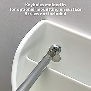 Officemate Magnet Plus Magnetic Organizer, White (92550)