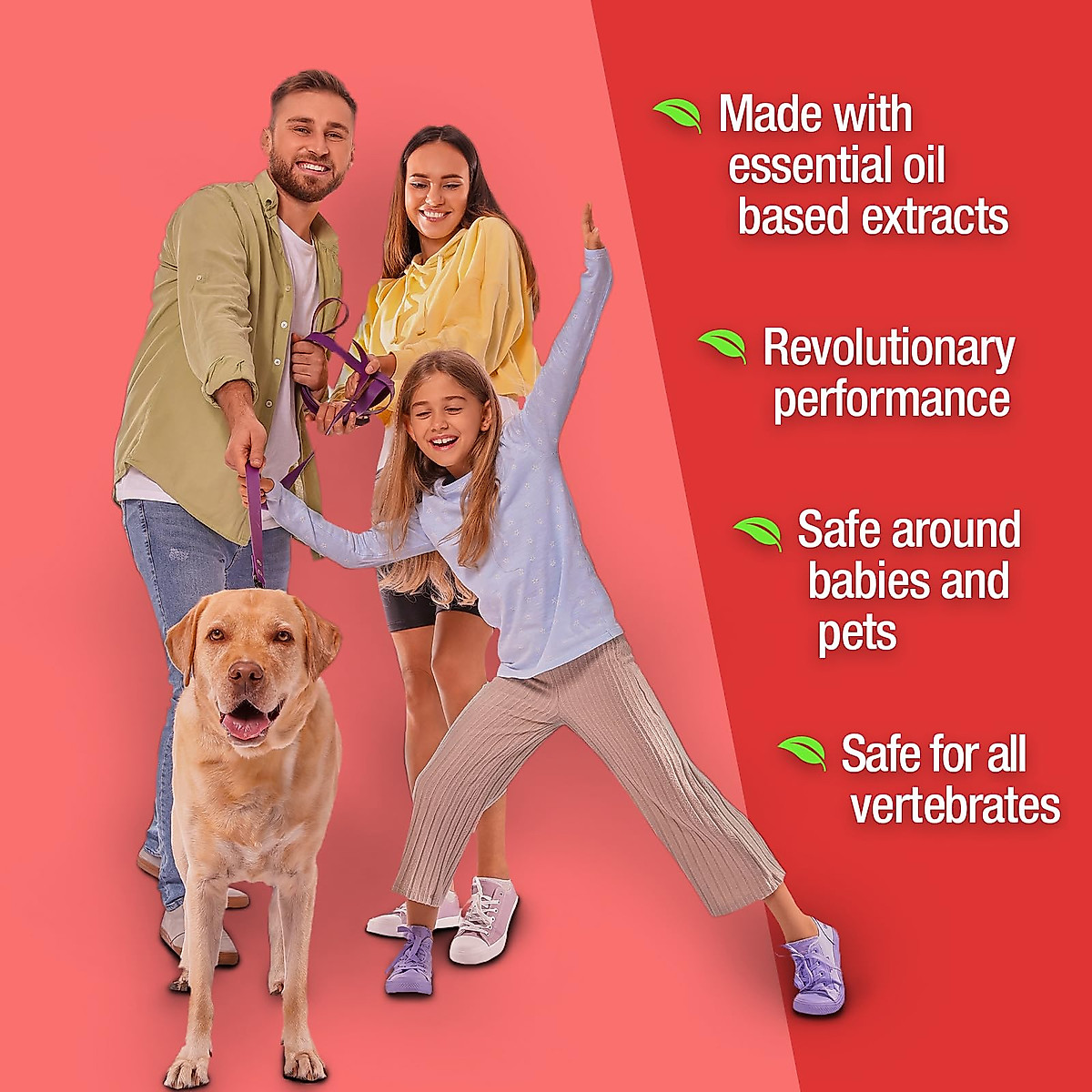 NatroZing Multi-Purpose Insect Killer 11 OZ, Pest Control Spray Indoor, Kills & Repels Fruit Flies Gnats Moths Spiders for Home, Lasting Prevention, Plant Extract Based Non-Toxic, Child & Pet Safe