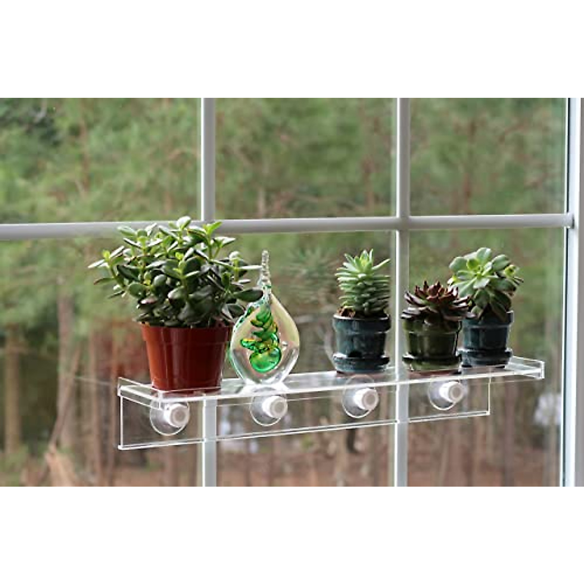 LaBrinx Designs Extra Large Suction Cup Shelf - Live Plants, Windows, and Bathrooms