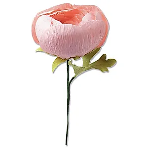 Sizzix Thinlits Die Set 5PK Ranunculus by Olivia Rose, 664925, One Size, Multicolor