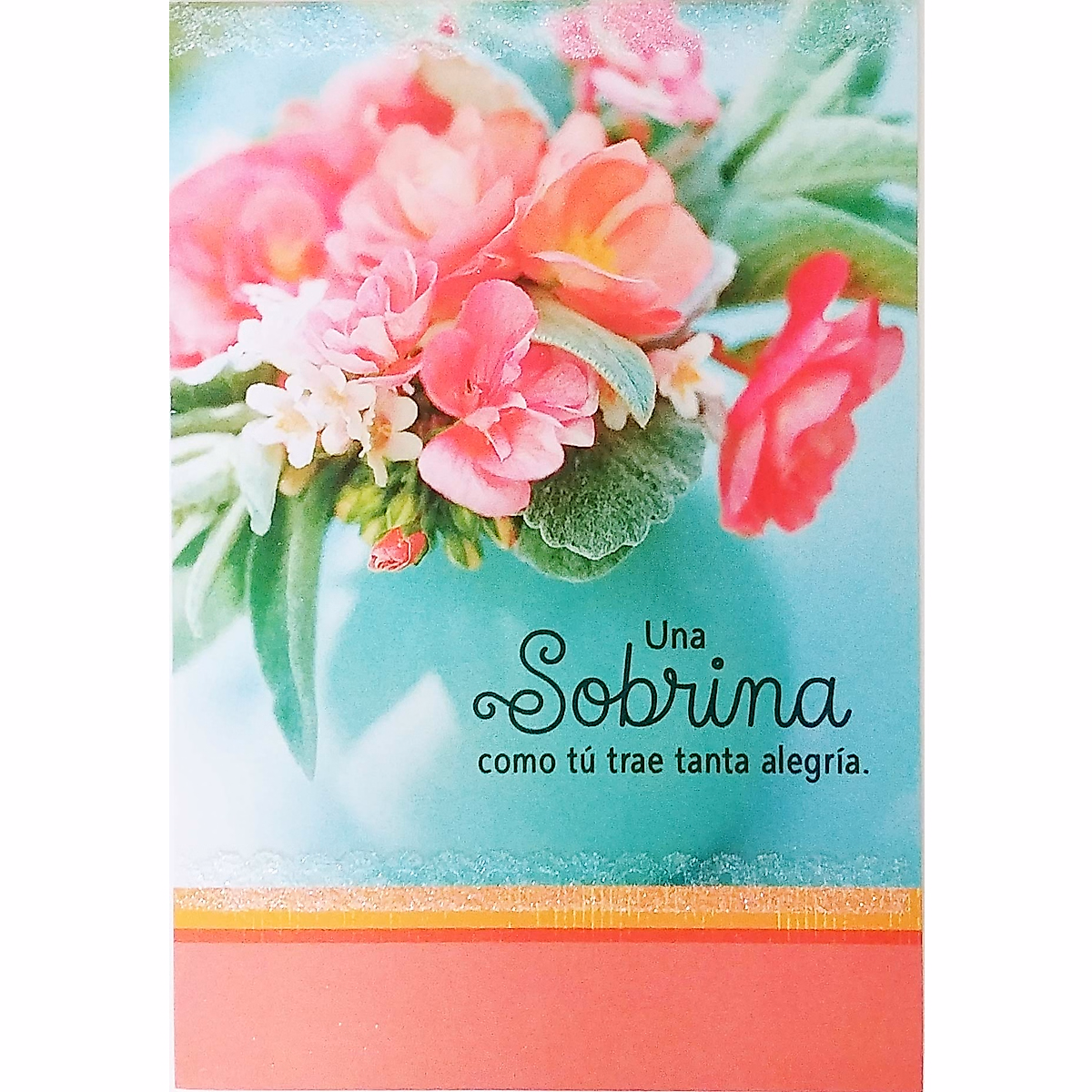 Greeting Card Feliz Cumpleanos Sobrina - Happy Birthday to Niece in Spanish Espanol Hoy es un dia para sentirte celebrada, apreciada y muy querida