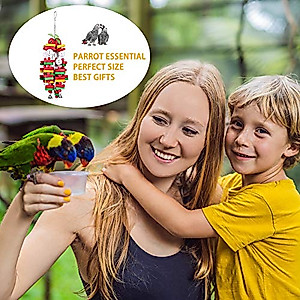 MQ Bird Toys Parrot Toys with Nature Wood Bird Chewing Toys for Small and Medium Birds, Best Toys for African Grey, Parakeets, Amazon Parrots, Finch, Budgie, Cockatiels, Conures and Love Birds