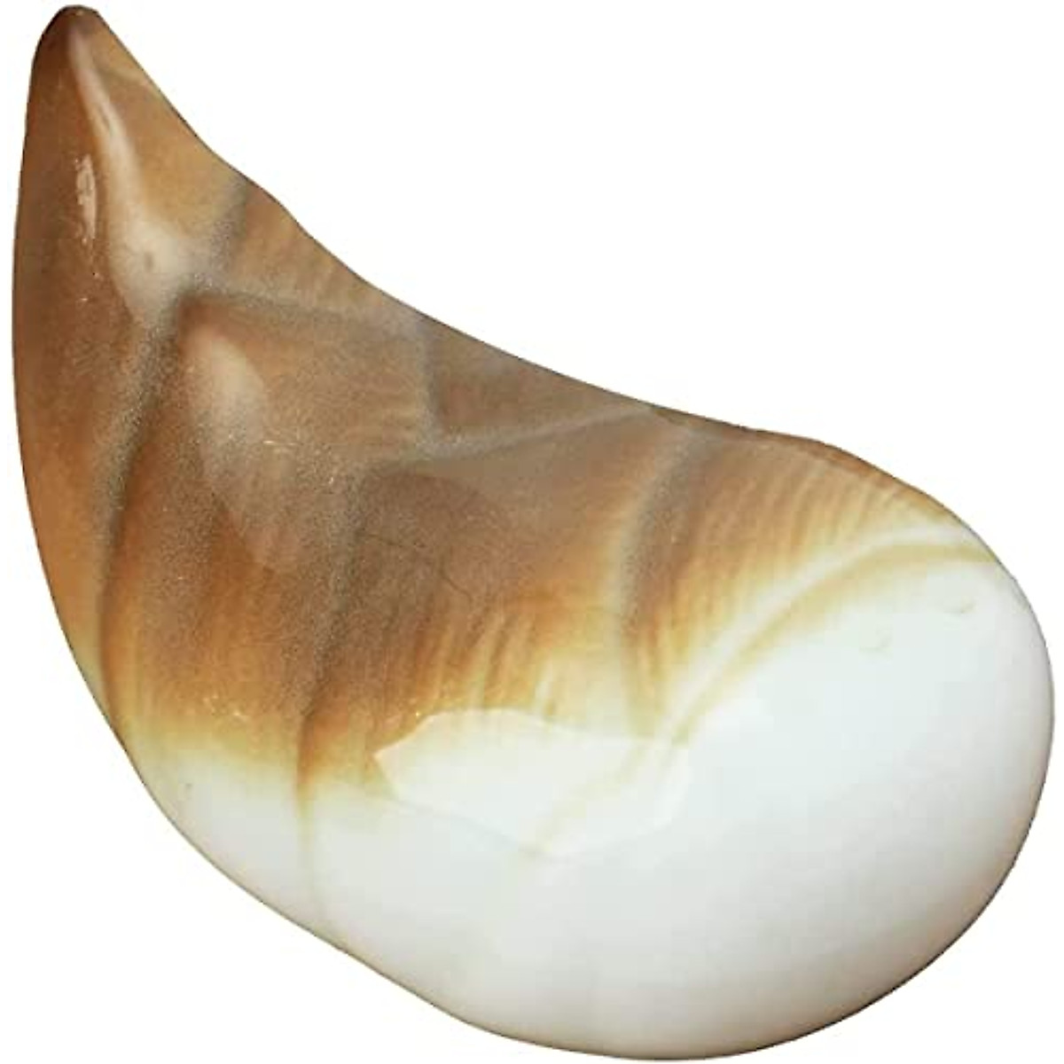 Hamamotou, 29-21 Bamboo Chopsticks Holder, Set of 2, Approx. 0.9 x 1.2 x 0.8 inches (2.2 x 3 x 2 cm)