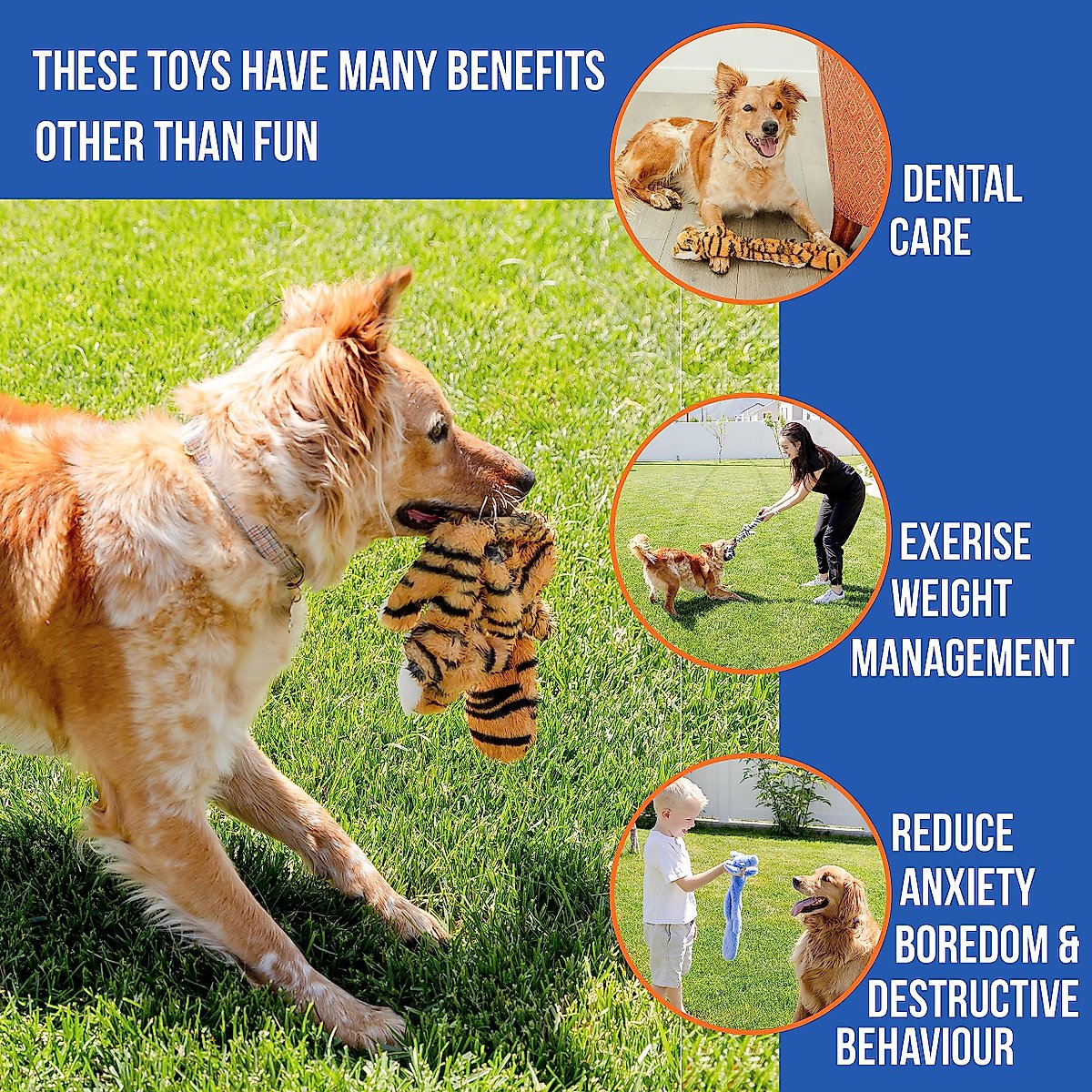 Squeaky No Stuffing Dog Toy Set – New & Improved Edition Plush Crinkle Dog Toys for Small, Medium & Large Breeds – Soft Tough Stuffless Puppy Chew Squeak Animal Supports Pet Health & Well Being 5 Pack