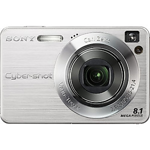 Sony Cyber-shot DSC-W130 8.1MP Digital Camera with 4x Optical Zoom with Super Steady Shot (Silver)