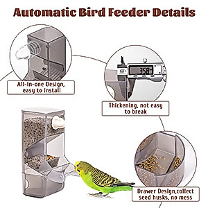 Hamiledyi Parrot Automatic Feeder No Mess Bird Feeder for Cage Parakeet Seed Food Container Plastic Lovebirds Cage Accessories for Small Conures Budgies Canary Finches(Blue)