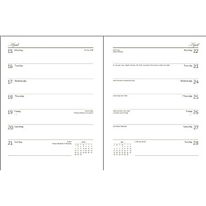 Sibley's Birds Weekly Engagement Calendar 2019 Planner 6.5" x 8.5" Spiral