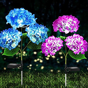 Solar Lights Outdoor Decorative - 2 Pack Hydrangea Solar Garden Stake Lights Waterproof and Realistic LED Flowers Powered Outdoor In-Ground Lights for Garden Lawn Patio Backyard (Purple and blue)