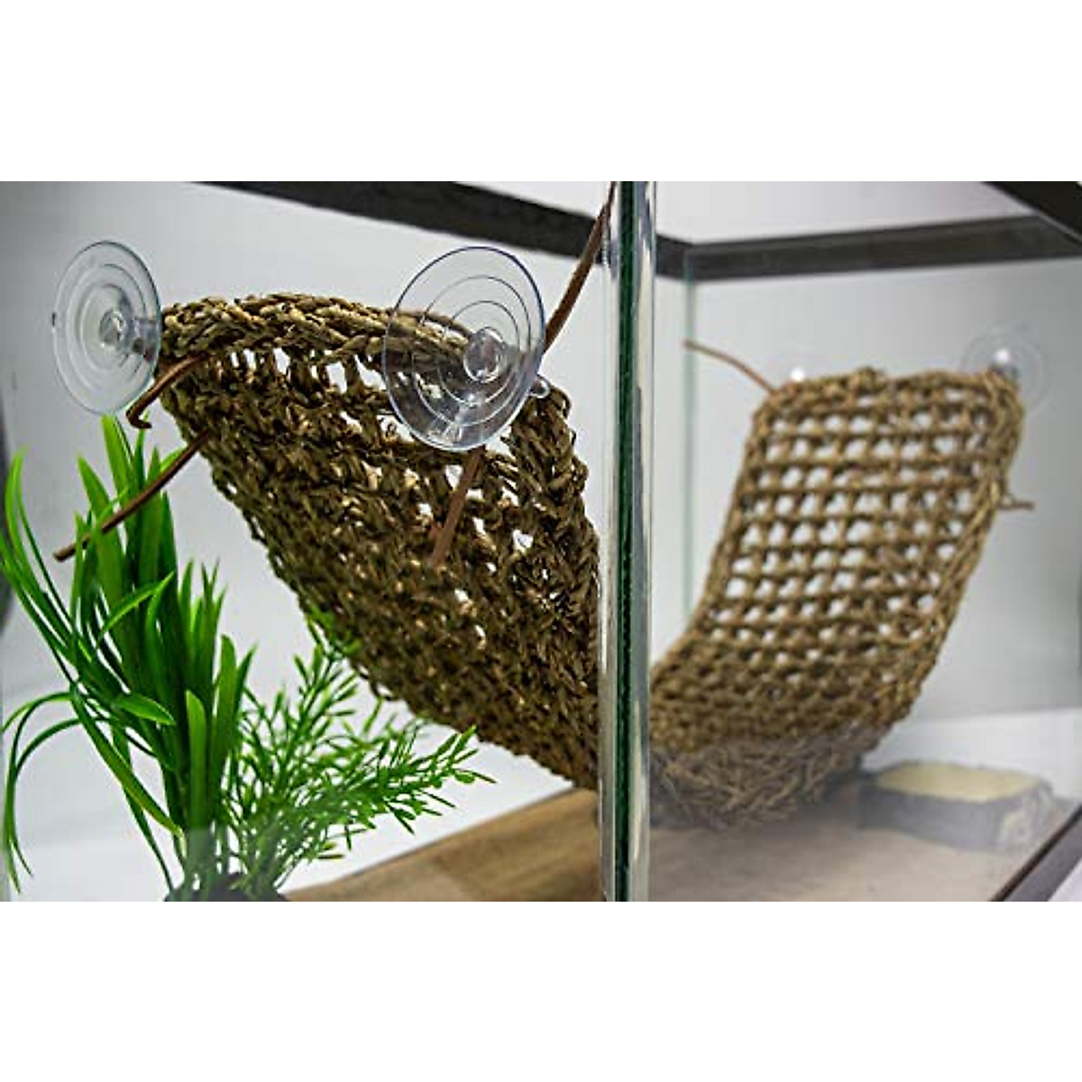 PENN-PLAX Reptology Lizard Lounger – 100% Natural Seagrass Fiber – Great for Bearded Dragons, Anoles, Geckos, and Other Reptiles – Extra Large