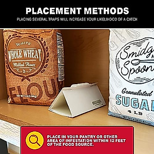 Catchmaster Pantry Pest & Moth Traps 6Pk, Bug Killer for Closet, Kitchen Storage, & Pantry, Sticky Moth Traps for House, Protect Clothes & Carpet, Closet Storage Glue Traps, Pet Safe Pest Control