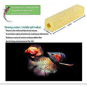 ZHHMl Aquarium Fitler Media Aquarium Bio Balls Filter Media Cultivate nitrifying Bacteria Freshwater/seawater Biological Filtration (20PCS) (Rectangle)