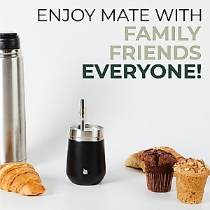 GAUCHO-MARKET Yerba Mate Cup Gourd with Lid Double-Wall Insulated Vacuum Stainless Steel Mate Tea Cup Set With Lid, Includes 2 Bombillas (Yerba Mate Straw) and a Cleaning Brush (Revolution Black)