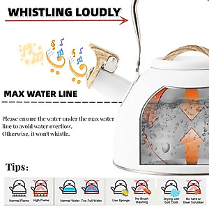 Tea Kettle, 3.2 Quart Whistling Tea Pot for Stovetop,Tea Kettles Stove Top with Cool Grip Ergonomic Handle, Stainless Steel Teapot White