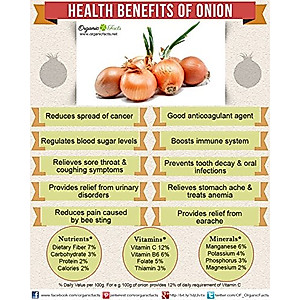 Buy Wellness Organic White ONION Powder, Purity Packaged for Freshness, Indian, 100% pure White Onion, -16 oz