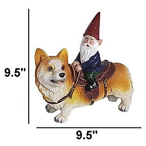 Funny Guy Mugs Garden Gnome Statue - Gnome Riding a Corgi - Indoor/Outdoor Garden Gnome Sculpture for Patio, Yard or Lawn