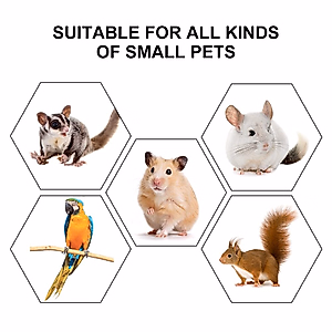 Hamster Climbing Net, Anti Bite Pet Climbing Rope Net Reusable Small Animal Activity Toy for Ferret Rat Guinea Pig Chinchilla Decor Play