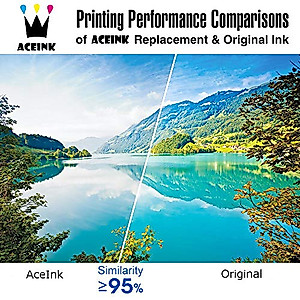 AceInk CompatibleLC203XL Ink Cartridge Replacement for Brother LC203XL LC203 Work for Brother MFC-J460DW MFC-J880DW MFC-J680DW MFC-J4620DW MFC-J480DW MFC-J4420DW Printer, 5 Packs (2BK/C/M/Y)
