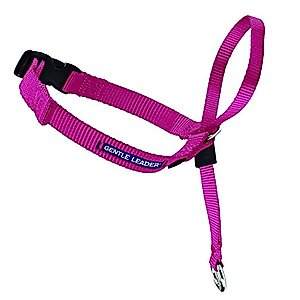 PetSafe Gentle Leader Headcollar, No-Pull Dog Collar – Perfect for Leash & Harness Training – Stops Pets from Pulling and Choking on Walks – Large, Raspberry Pink