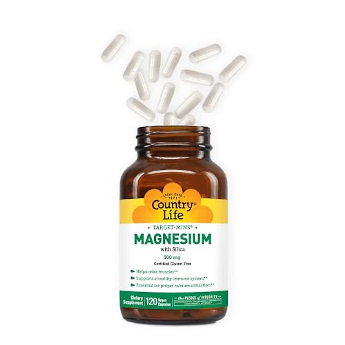 Target-Mins Magnesium with Silica 300 mg 120 Vegetarian Capsules