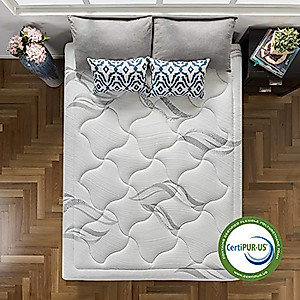 ZINUS 10 Inch Cloud Memory Foam Mattress/Pressure Relieving/Bed-in-a-Box/CertiPUR-US Certified, Queen & Shalini Upholstered Platform Bed Frame/Mattress Foundation, Dark Grey, Queen