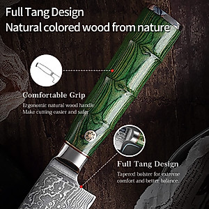 Damascus Chef Knife 8 inch- Razor Sharp Kitchen Knife Made of Damascus VG-10 Steel Special Chef's Knife for the Kitchen, Green Ebony Handle Ergonomic (8.03)…