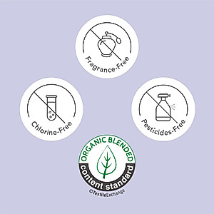 Rael Disposable Underwear for Women, Organic Cotton Cover - Incontinence Pads, Postpartum Essentials, Disposable Underwear, Unscented, Maximum Coverage (Size L-XL, 8 Count)