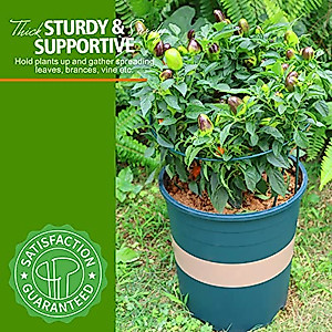 LEOBRO 4 Pack Plant Support Stake, Metal Garden Plant Stakes, Peony Support, Tomato Cage, Half Round Plant Support Ring Cage, Plant Support for Tomato, Rose, Vine, Indoor Plants (9.8" W x 15.7" H)