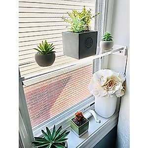 Elegant and Sophisticated Floating Window Shelf (21", Single Shelf) - Crystal Clear Recessed Durable Strong Acrylic Trinket, Plants, Succulents Indoor Collection Display Stand Trendy Modern Boho Chic
