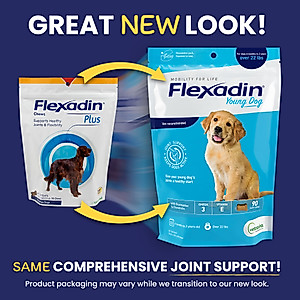 Vetoquinol Flexadin Hip and Joint Supplement with Glucosamine for Dogs, Joint Support Chew with Green-Lipped Mussel and MSM, 90-Count