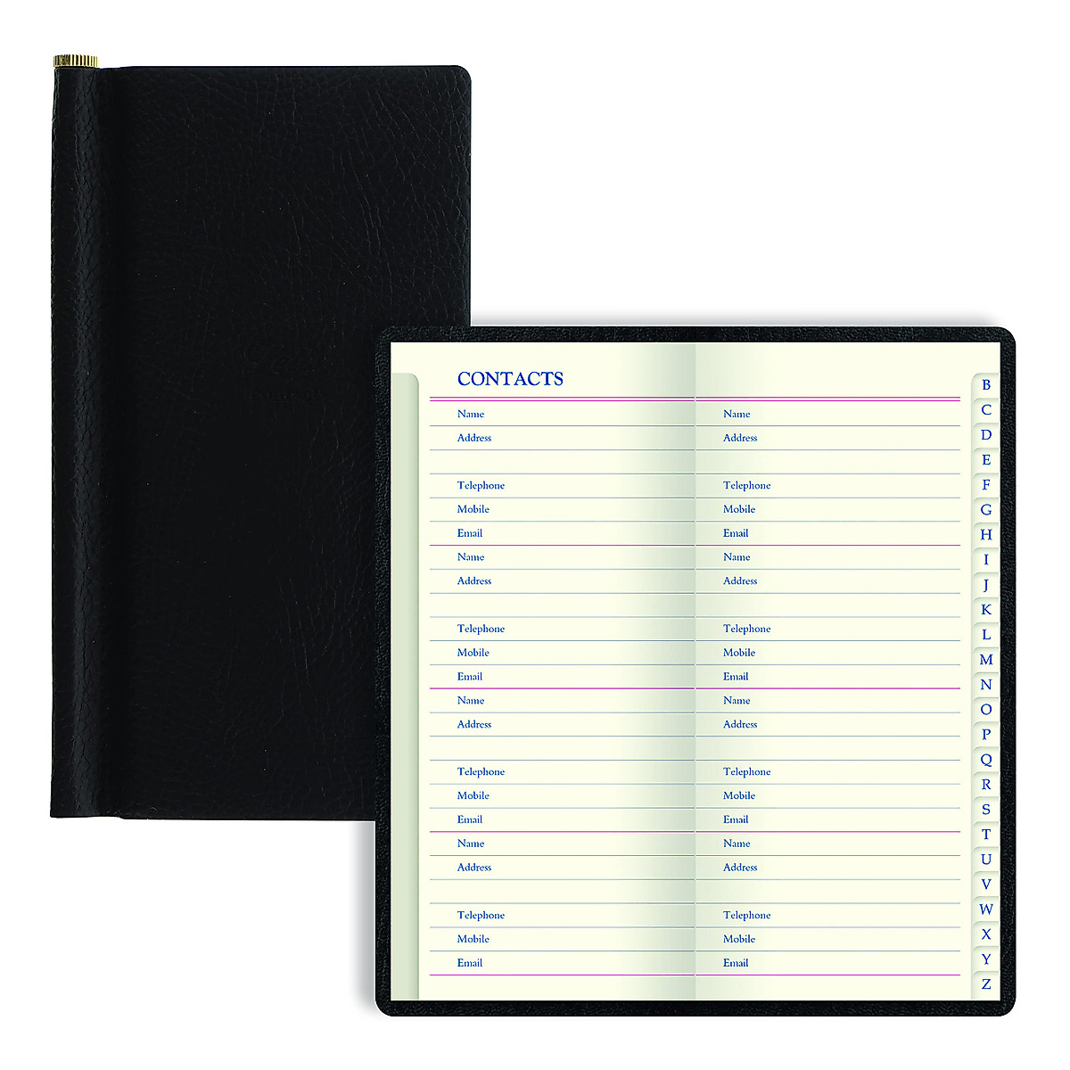 LETTS Note Origins Collection Slim Pocket Size Address Book with Gold Pen, Ruled, 160 Pages, Cream Paper, 5.75" x 2.75", Black (B090028)