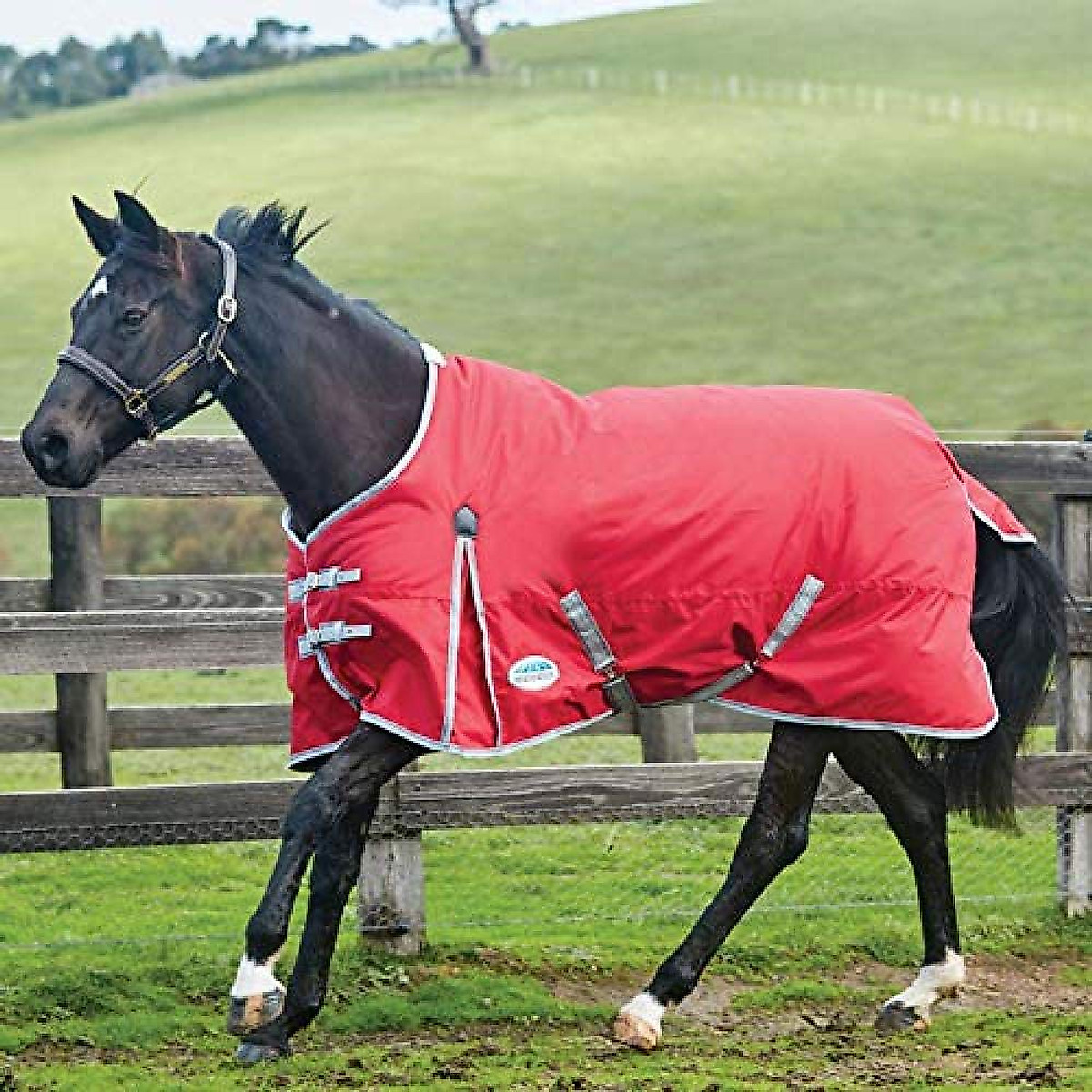 WeatherBeeta ComFiTec Classic Standard Neck Lite Horse Blanket, Red/Silver/Navy, 81"