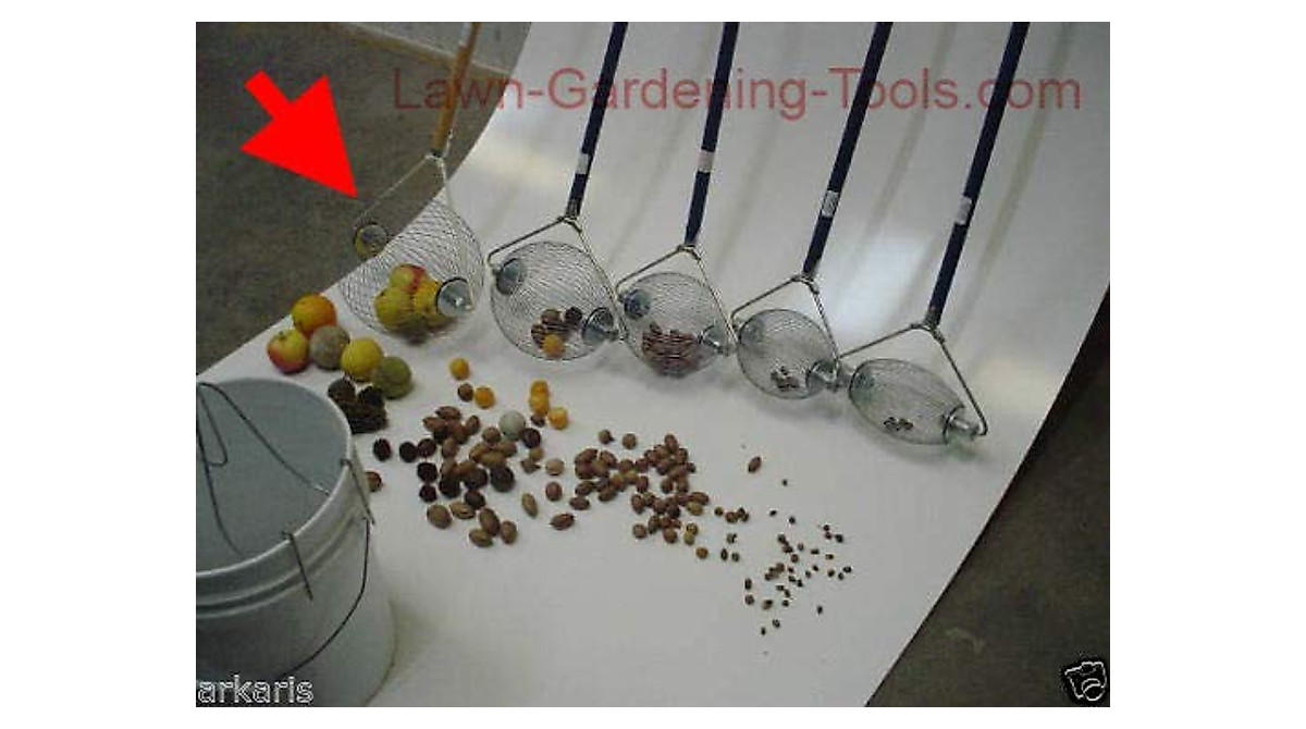 Large Nut Wizard: Effortless Fruit & Nut Pickup