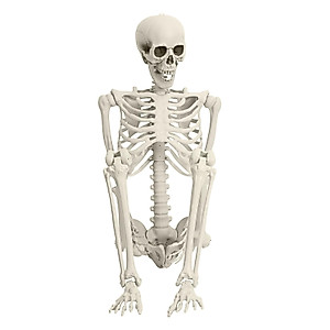 5.4ft Full Body Skeleton Prop with Movable Joints, Poseable Life Size Skeleton Statue for Anatomy Scentific Study Halloween Outdoor Decoration (White)
