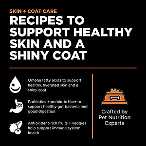 GO! SOLUTIONS Skin + Coat Care - Grain Free Dry Cat Food, 8 lb - Salmon Recipe - Cat Food for All Life Stages - with Probiotics