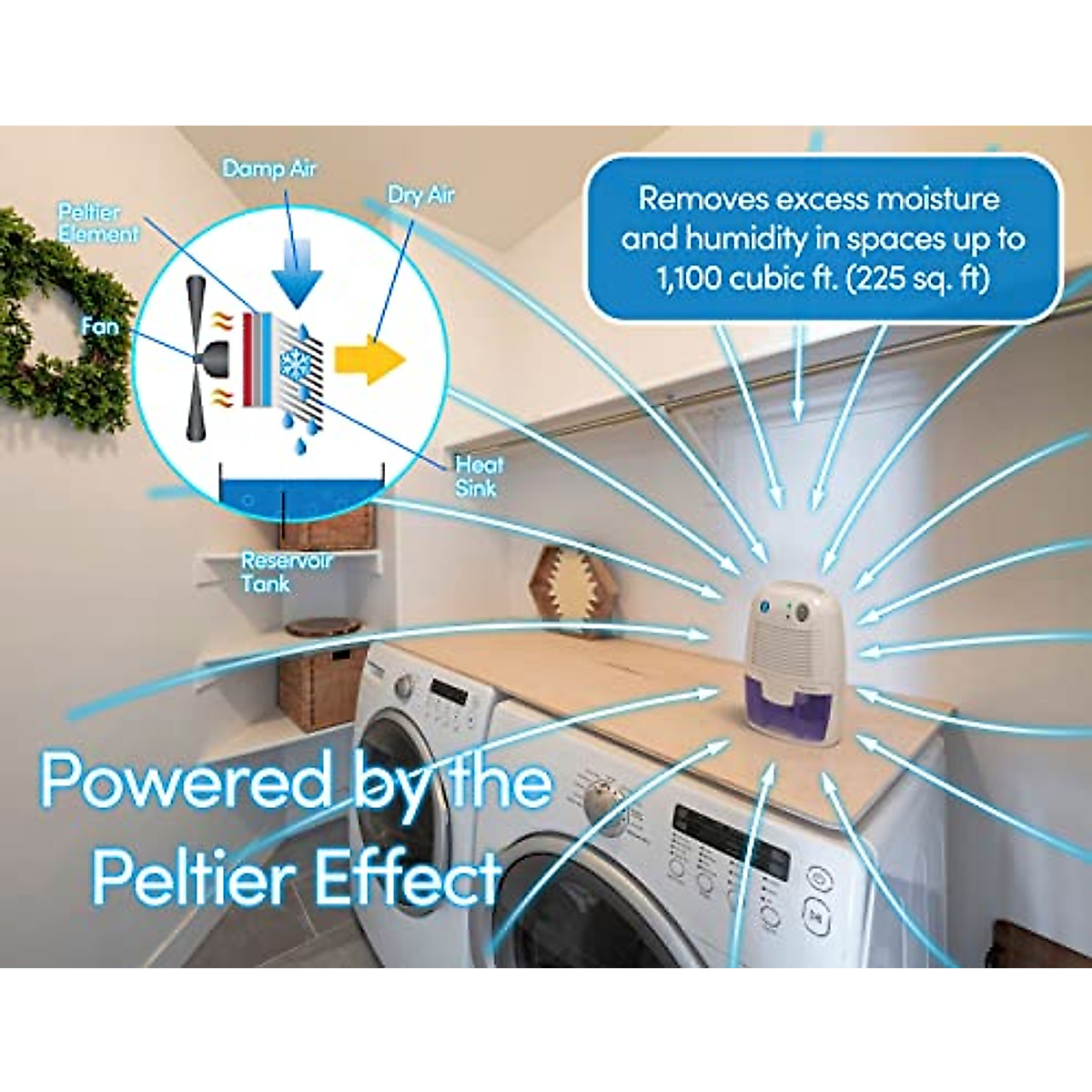 Whisper-quiet Eva-Dry EDV-1100 16 OZ Dehumidifier with Auto Shut Off for Home, Bedroom 1100 cubic feet (225 sq. ft), Bathroom, Kitchen, RV, and Closet - Small Dehumidifiers to Remove Moisture