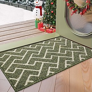 hicorfe Indoor Doormat,Front Back Door Mat Rubber Backing Non Slip Door Mats,20"x31.5" Low-Profile Absorbent Resist Dirt Entryway Doormat Inside Floor Mats for Entrance Washable(Green)