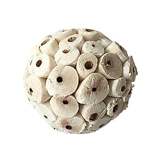 KKirafairy 3 Pieces Bird Toys Natural Sola Balls Soft Chew Shred Foraging Toy for Parrot Parrotlet Budgie Finch Macaw 6cm/2.36in, White